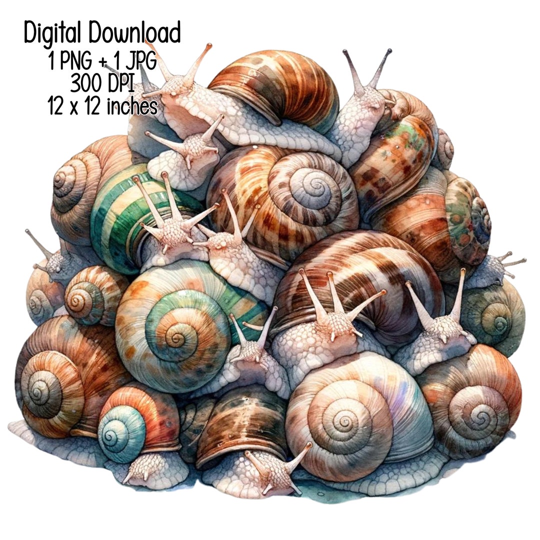 Pile of Snails, Animals Watercolor Illustration Clipart Commercial Use ...