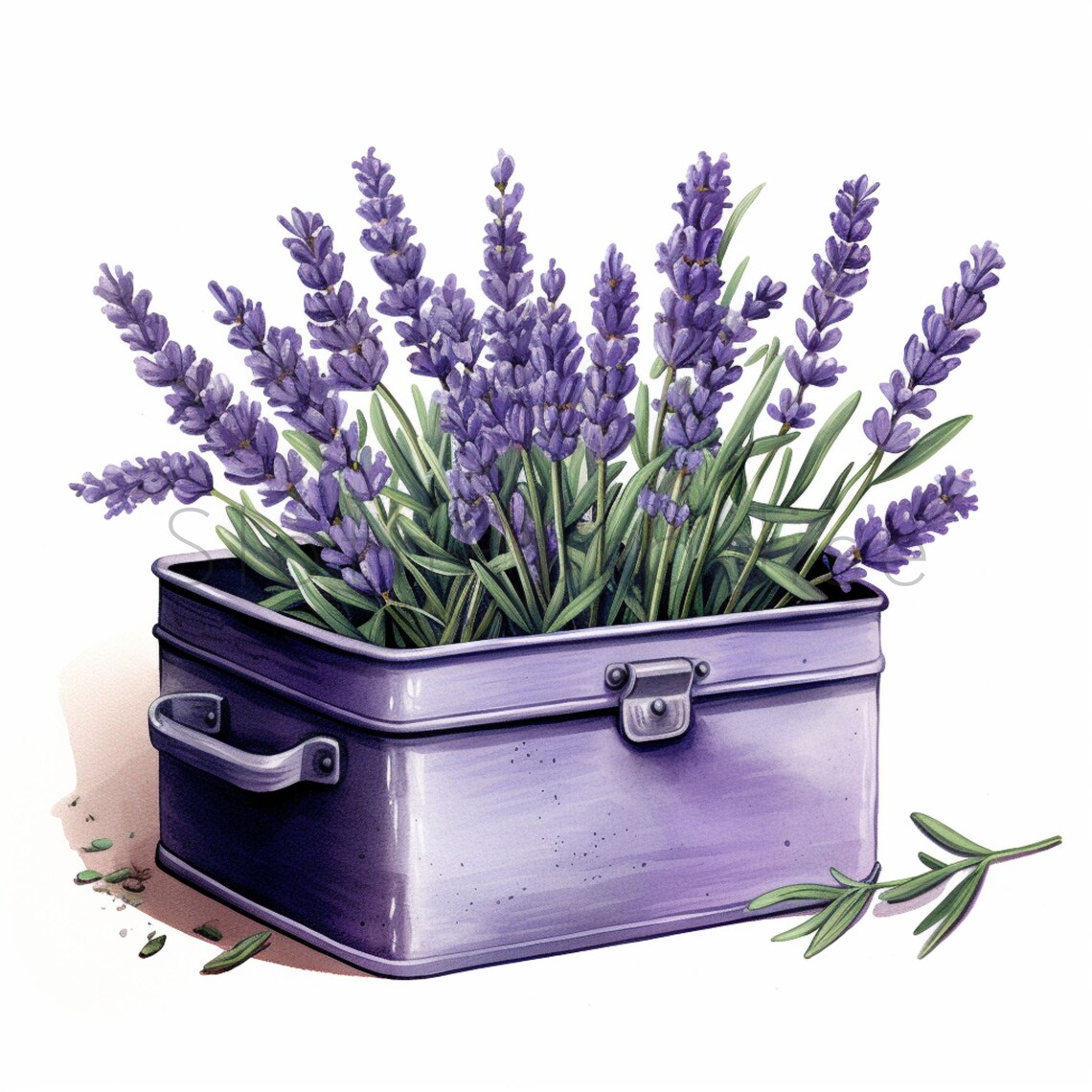 21 JPG Lavender Wreath Soap Box Bouquet Watercolor Digital Download ...