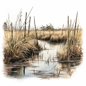 16 JPG Swamp Landscapes Watercolor Clipart Digital Download Commercial ...