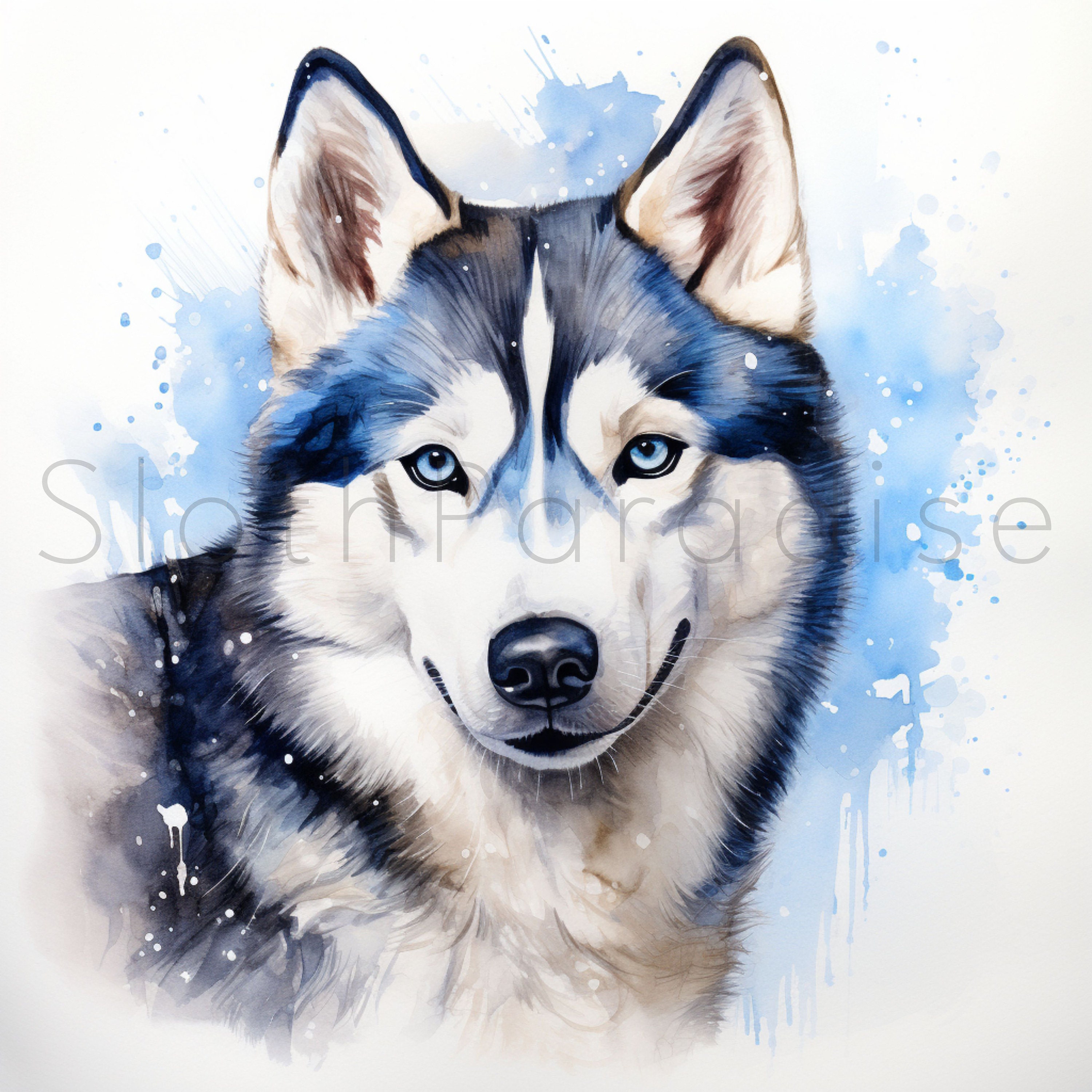 13 JPG Siberian Husky Dog Watercolor Clipart Digital Download ...