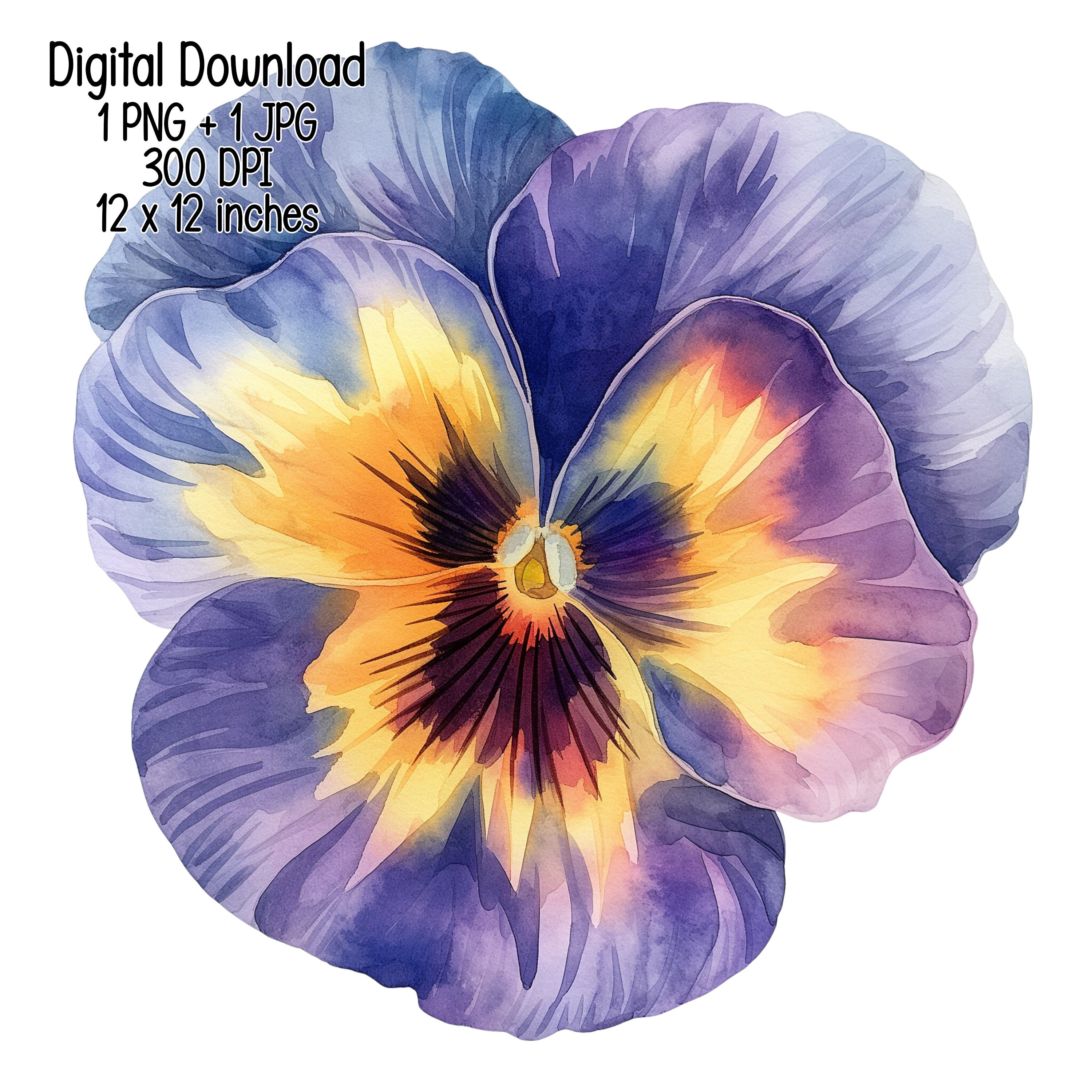 Viola Clipart Bláthanna