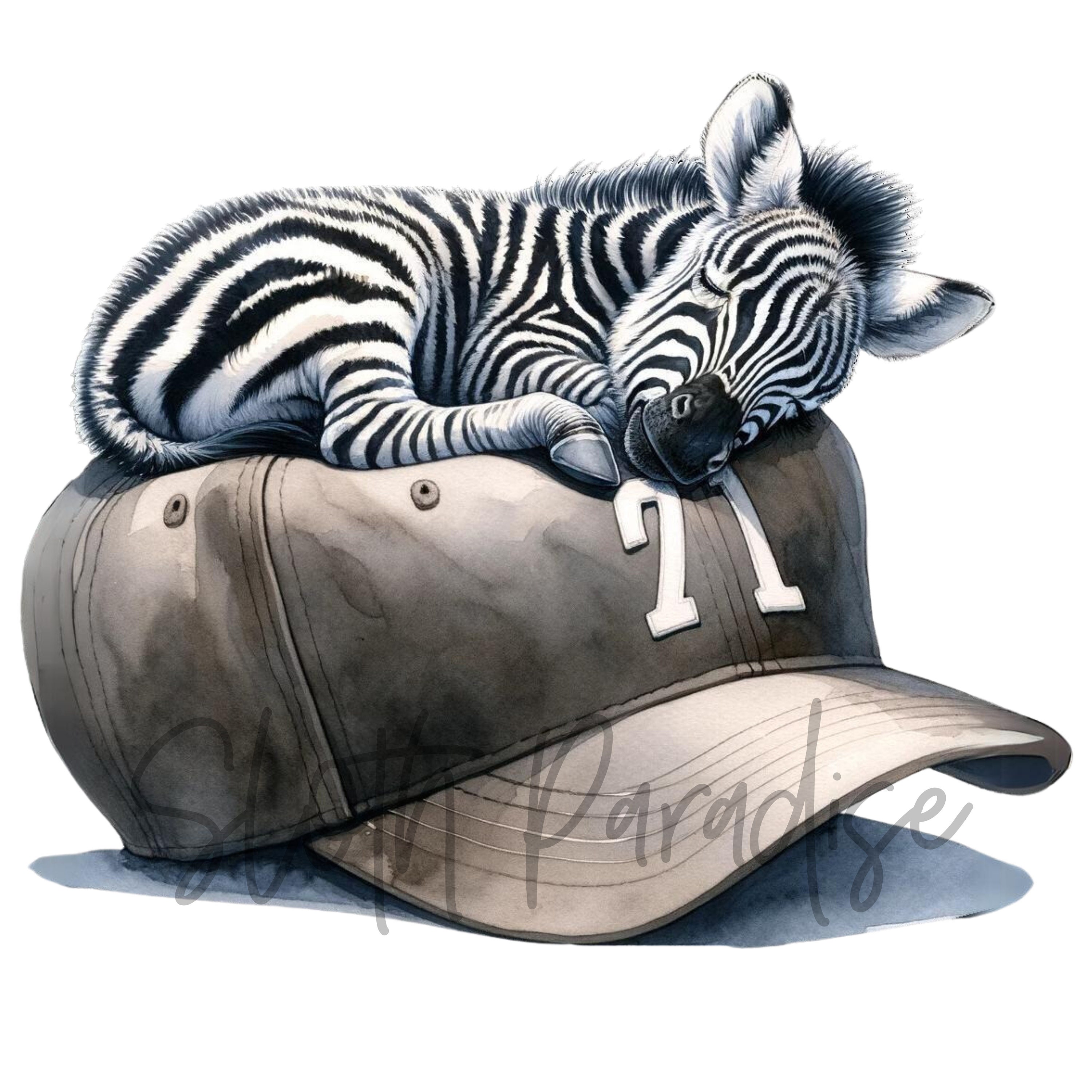 10 Baseball Animals Pngs Transparent Watercolor Clipart - Etsy