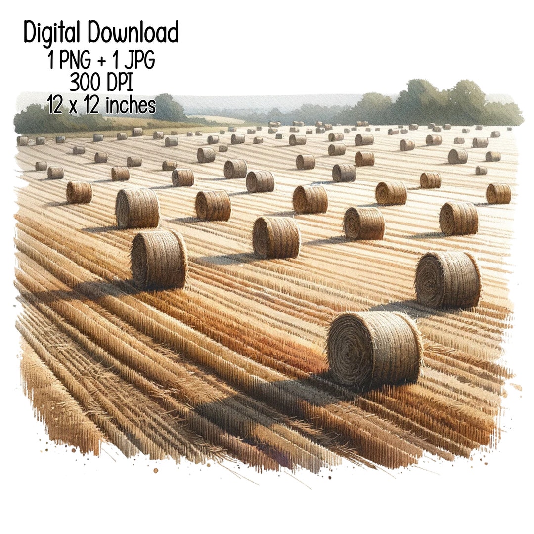 Hay Bales in Field After Harvest Watercolor Clipart Commercial Use ...