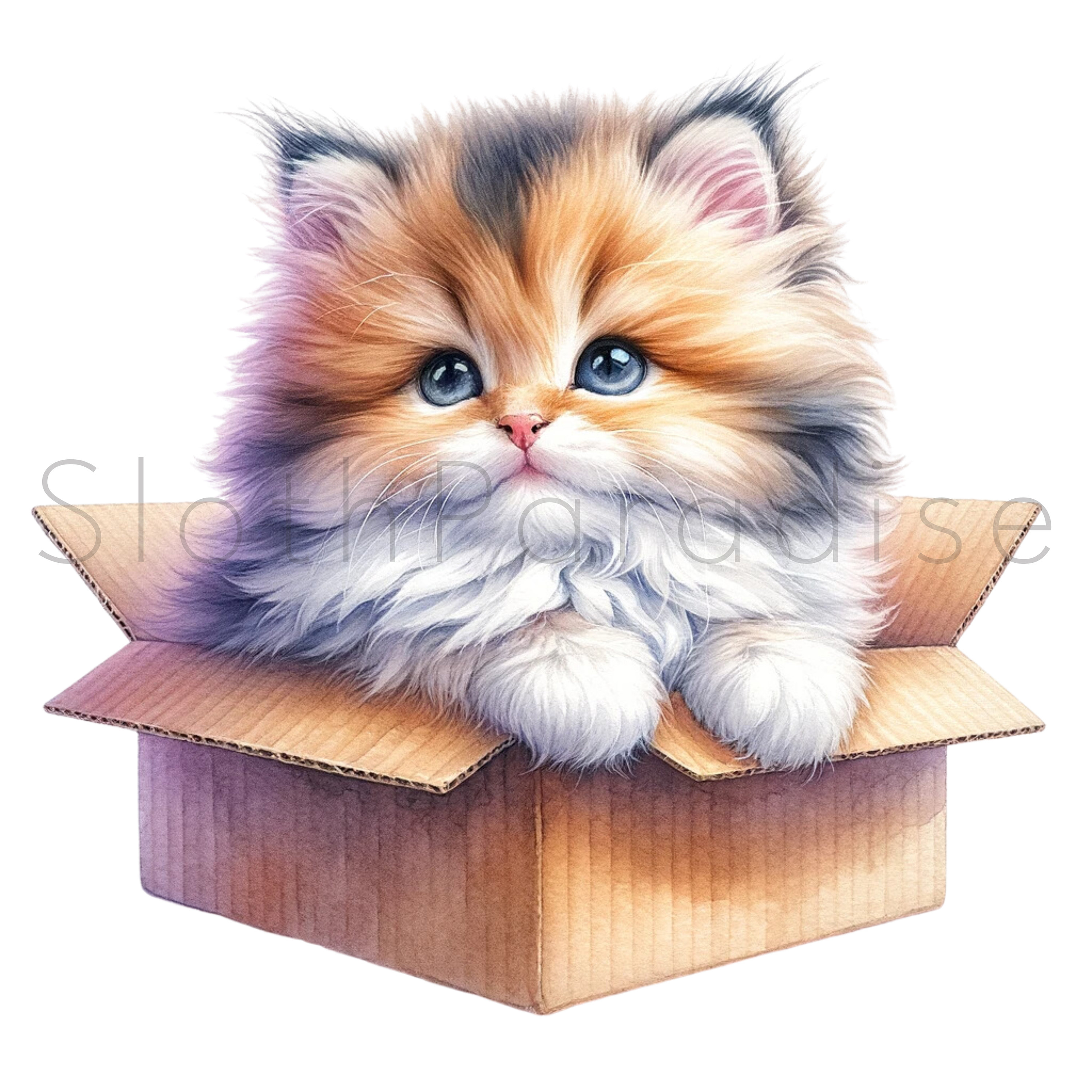 6 PNG Kittens in a Box and in a Bow Transparent Watercolor Clipart ...