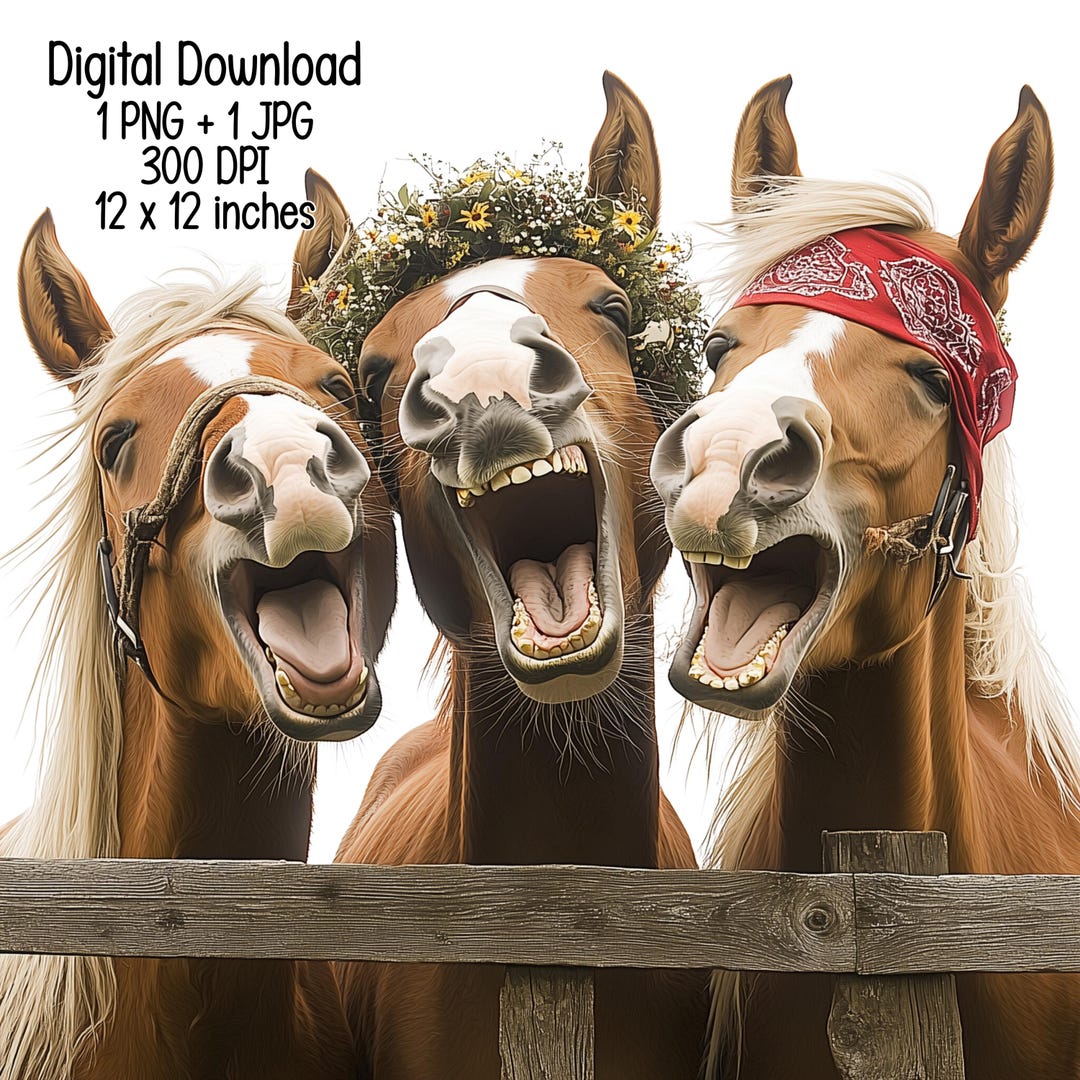Silly Horses Clipart - Humorous Horse Besties Illustration, Digital ...