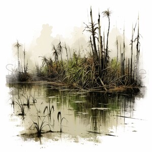 16 JPG Swamp Landscapes Watercolor Clipart Digital Download Commercial ...