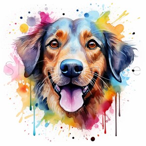 38 JPG Dog Color Splash Watercolor Clipart Digital Download Commercial ...