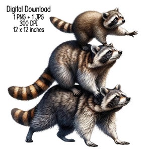 Stack of Racoons Digital Download Humorous Animal Illustration Clipart ...