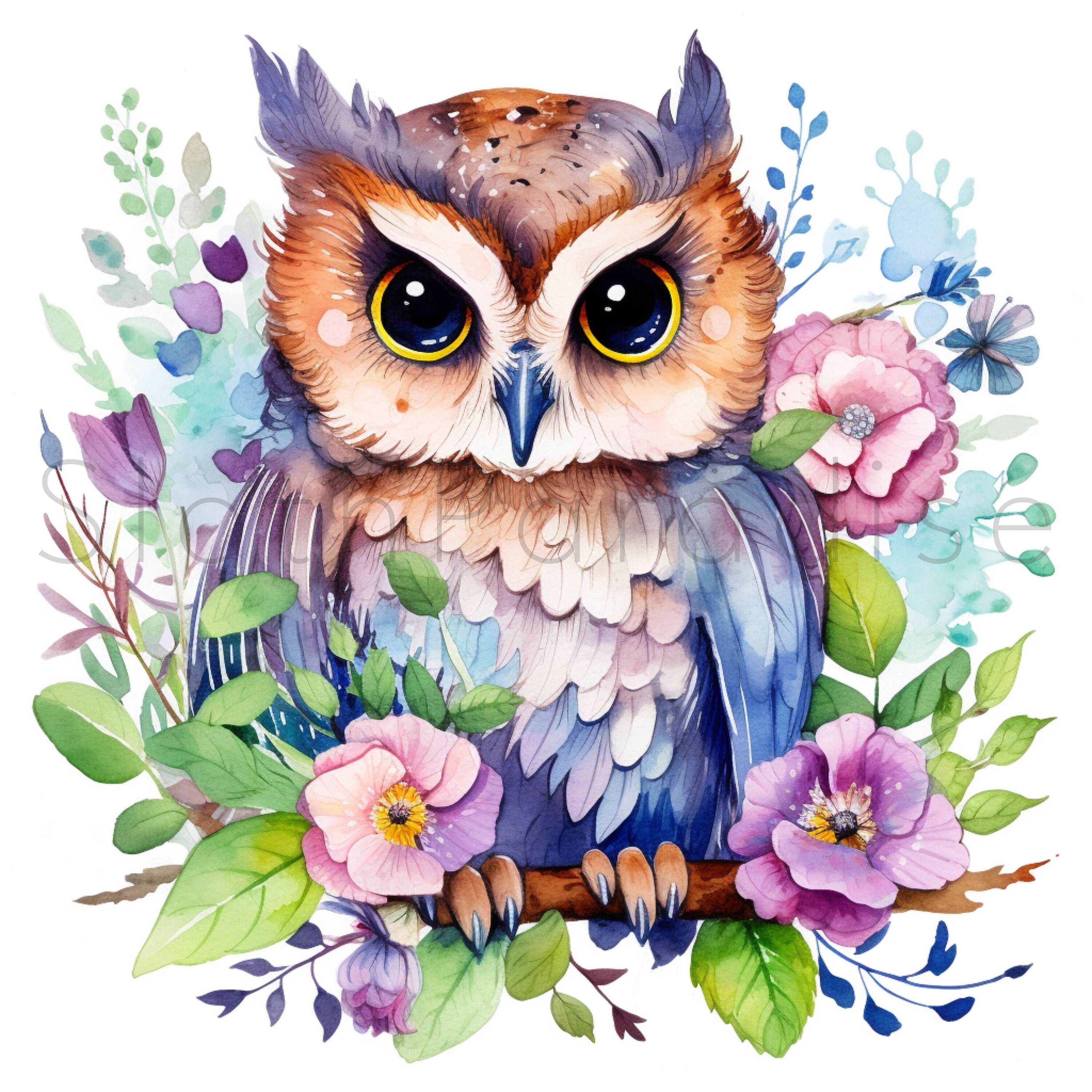 10 JPG Floral Owls Watercolor Clipart Digital Download Commercial Use ...