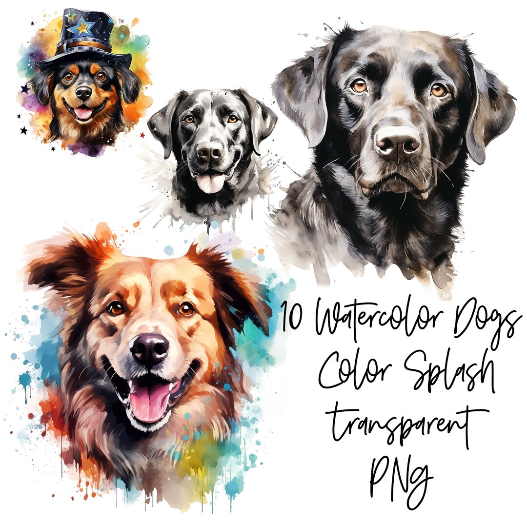 10 PNG Dog Color Splash Part 3 Transparent Watercolor Clipart Digital ...