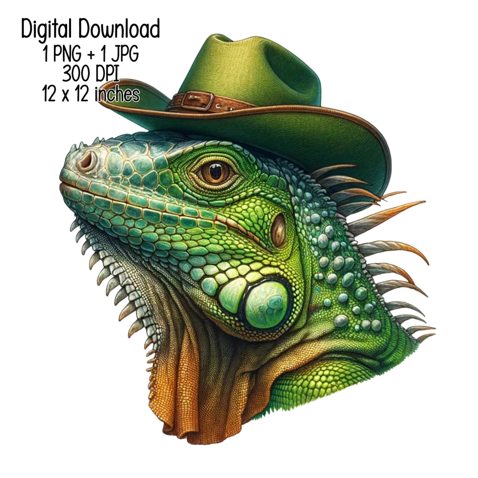 Texan Iguana Wearing a Small Cowboy Hat Watercolor Clipart Commercial ...