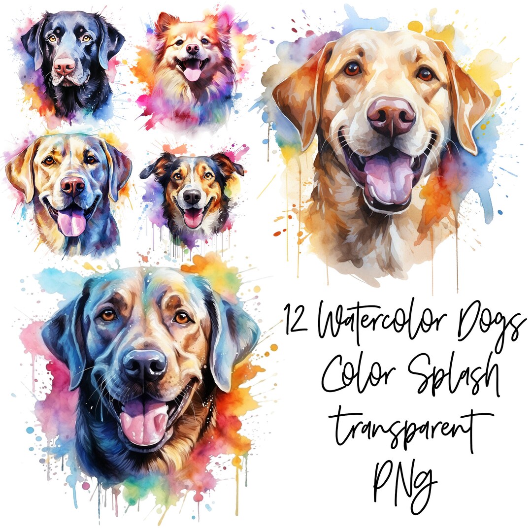 12 PNG Dog Color Splash Transparent Watercolor Clipart Digital Download ...