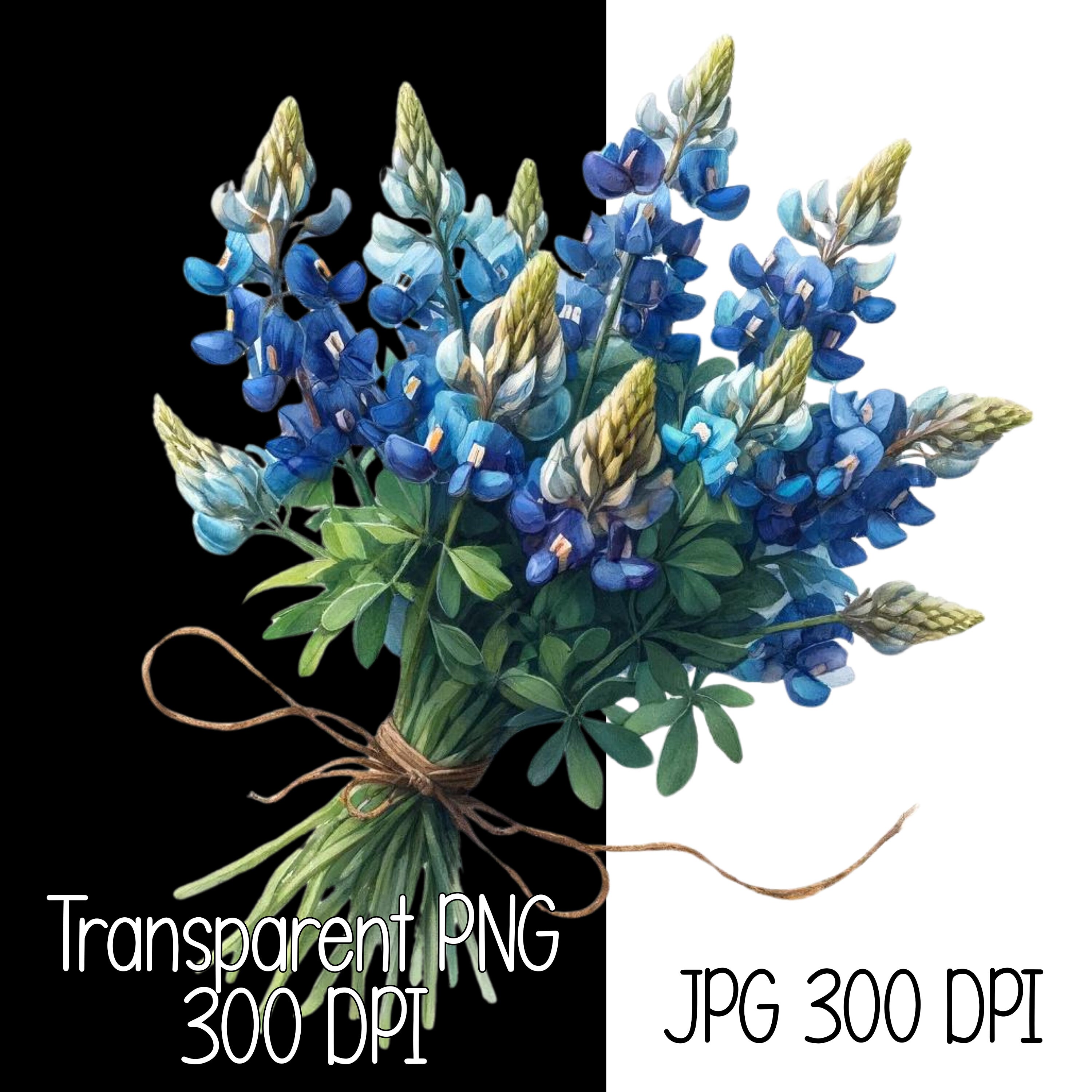 Texas Bluebonnet Bouquet Watercolor Illustration Clipart Commercial Use ...