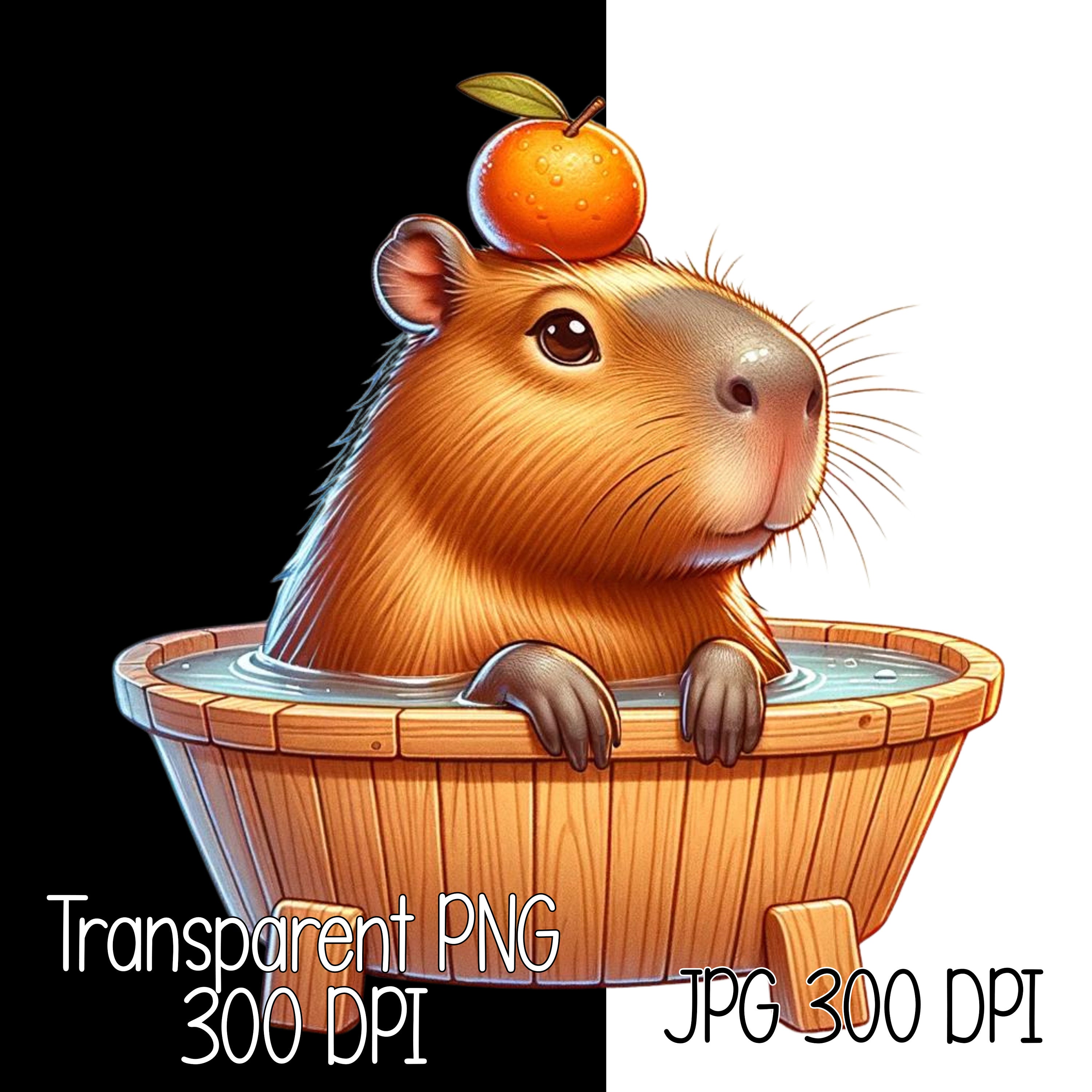 Capybara With Tangerine Taking Bath Digital Download Illustration ...