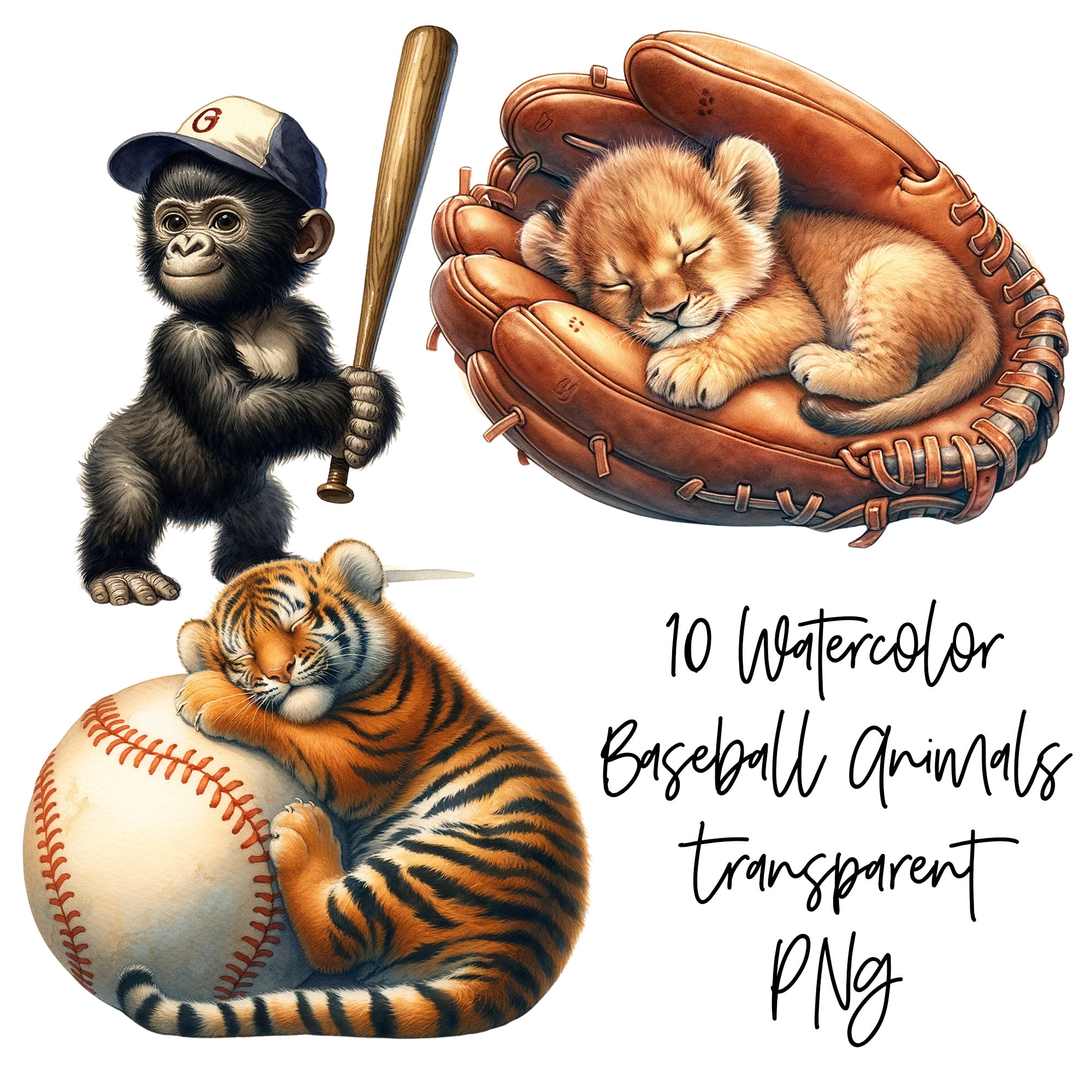 10 Baseball Animals Pngs Transparent Watercolor Clipart - Etsy