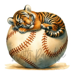 10 JPG Baseball Animals Watercolor Clipart Digital Download Commercial ...