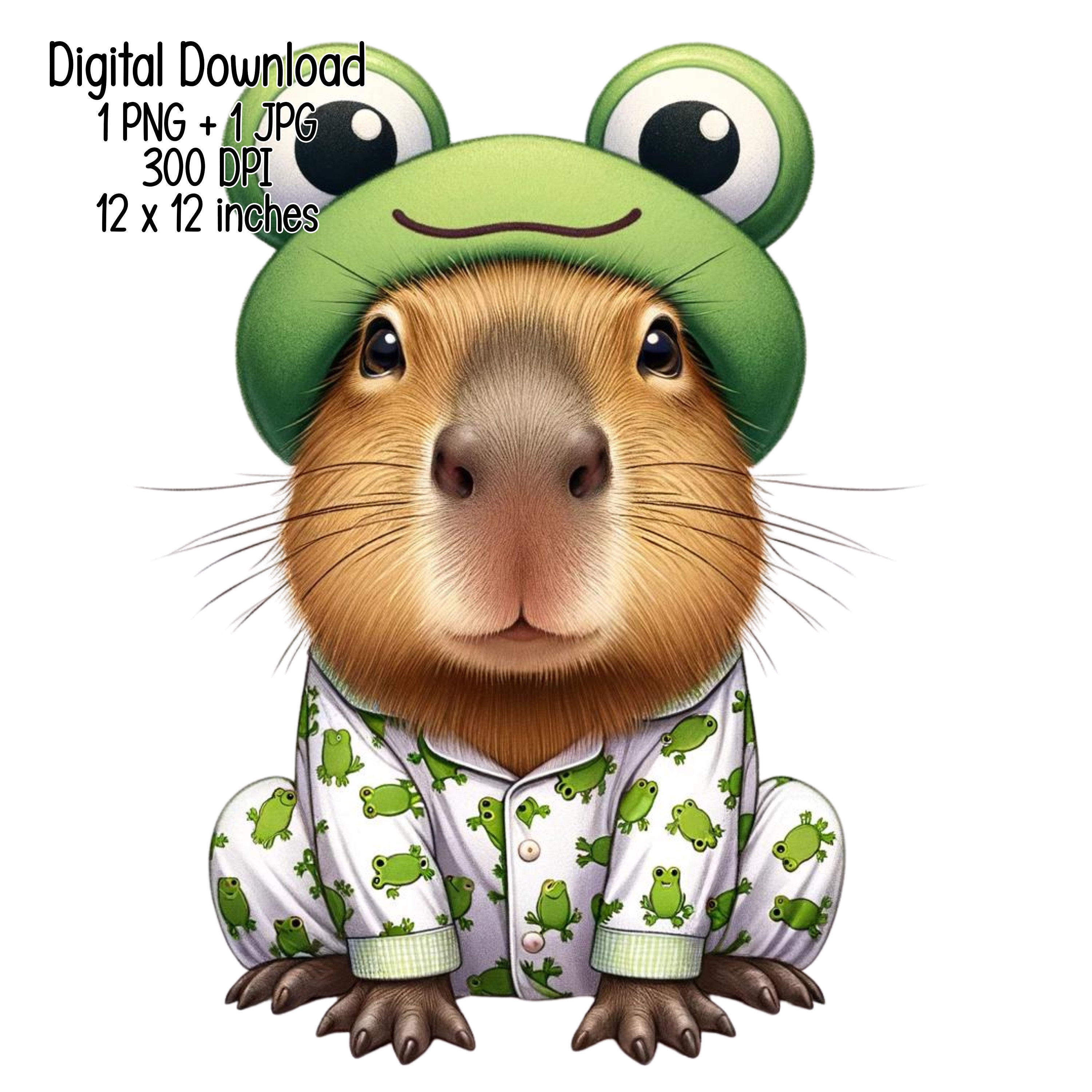 Capybara Frog Headband Digital Download Illustration CAPA in Frog ...
