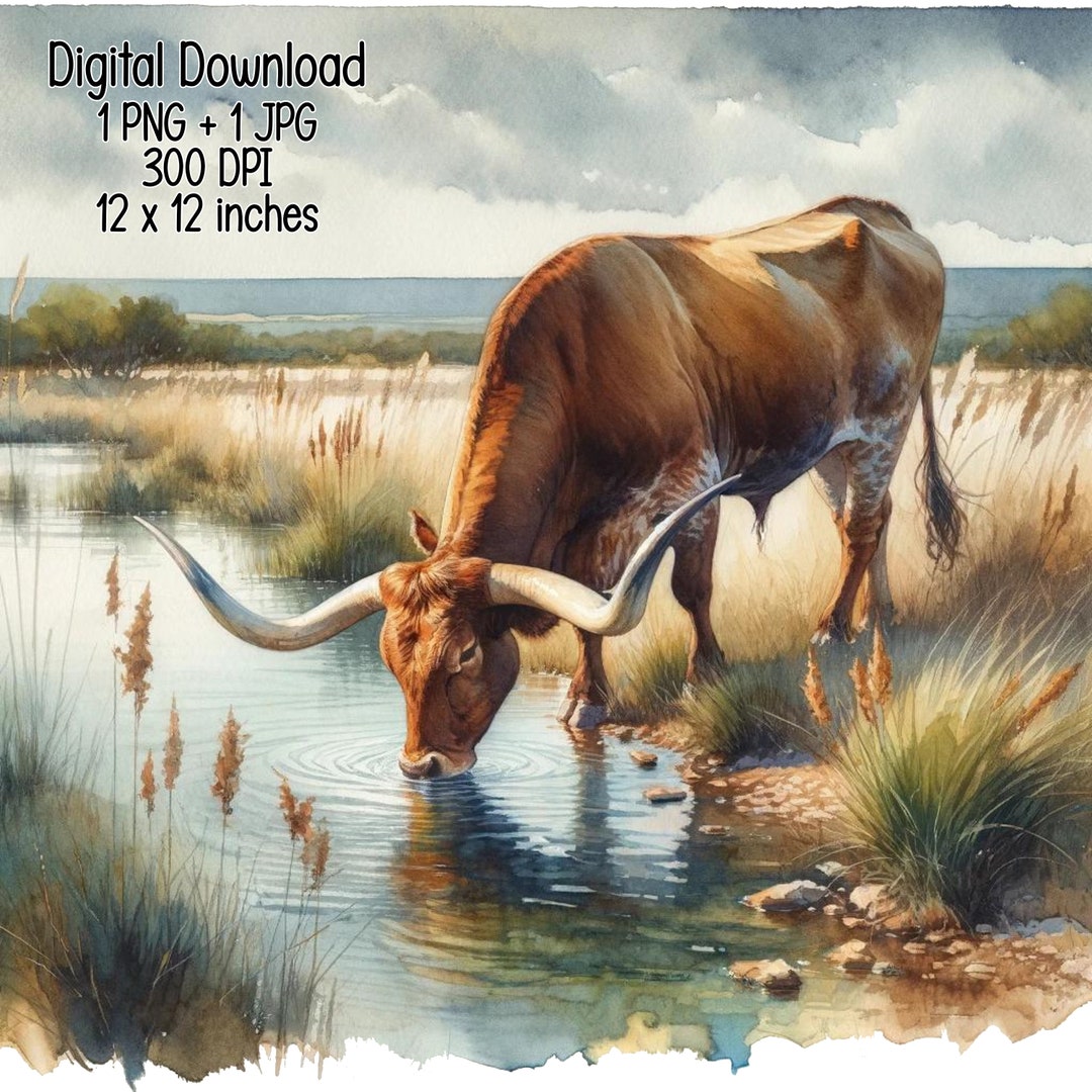 Texas Longhorn Drinking Watercolor Illustrations Clipart Rural ...