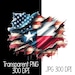 USA and Texas Flag, Support Texas Flag Digital Download, Illustration ...