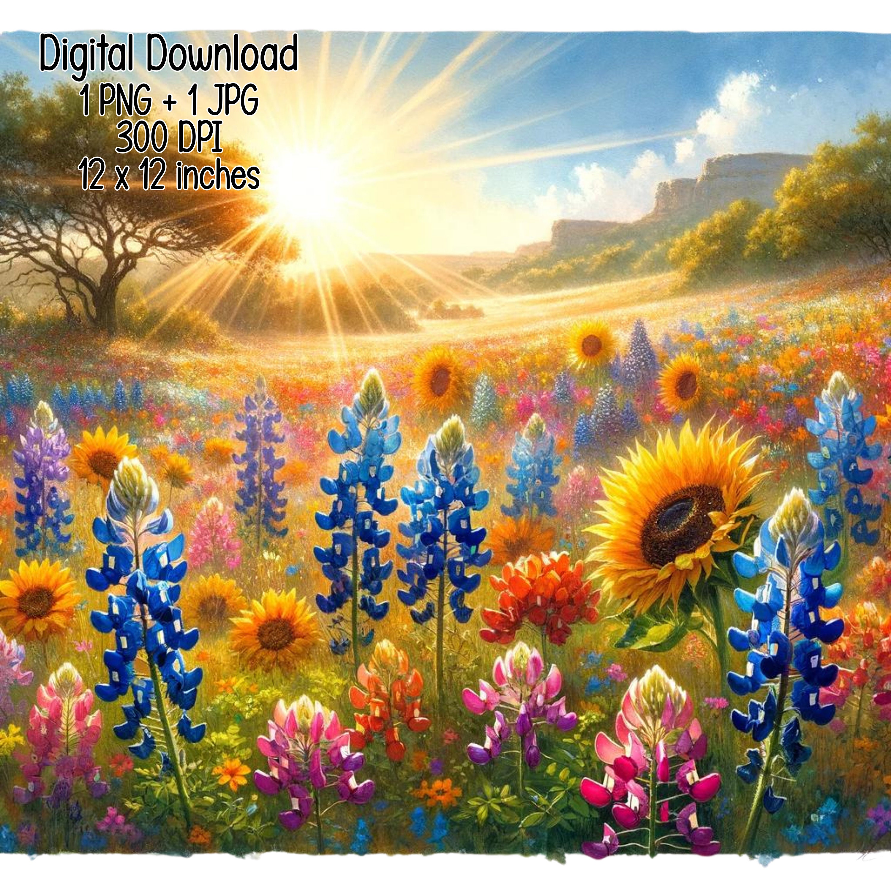 Texas Wildflowers in a Sun-drenched Meadow Watercolor Illustrations ...