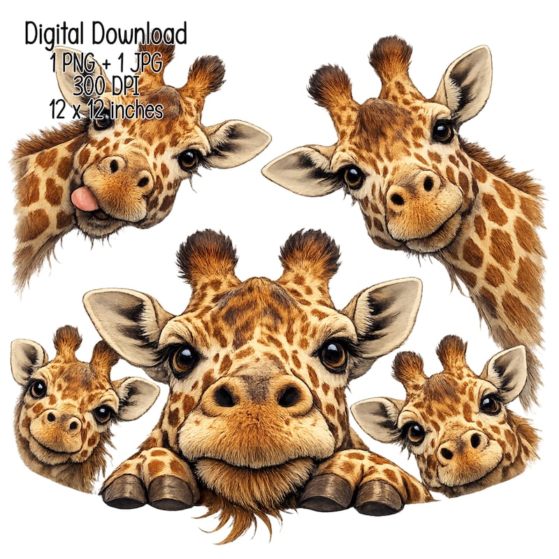 Giraffe Drawing Sticker - Etsy