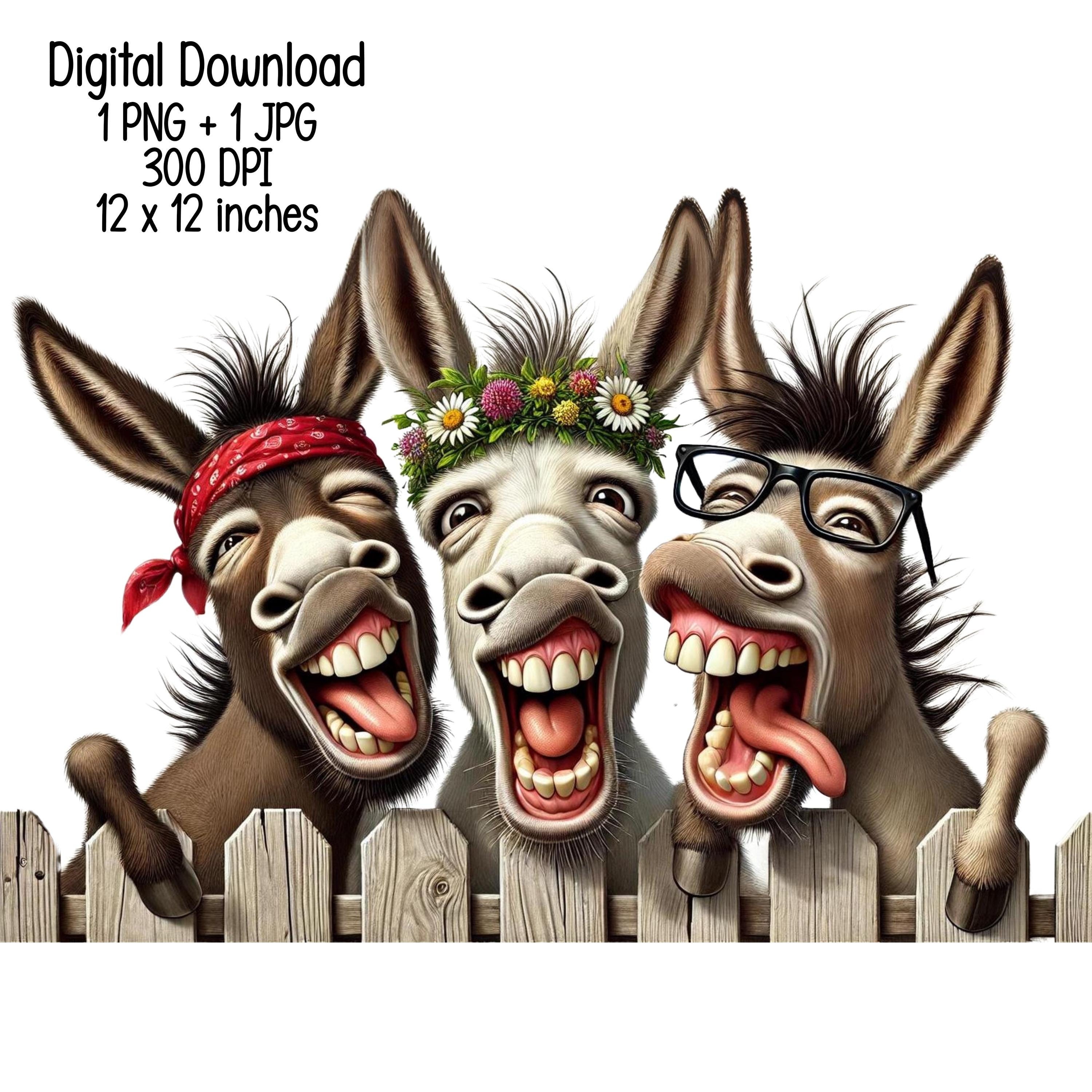 Silly Crazy Donkey Besties Clipart Illustration - Comical Donkeys ...