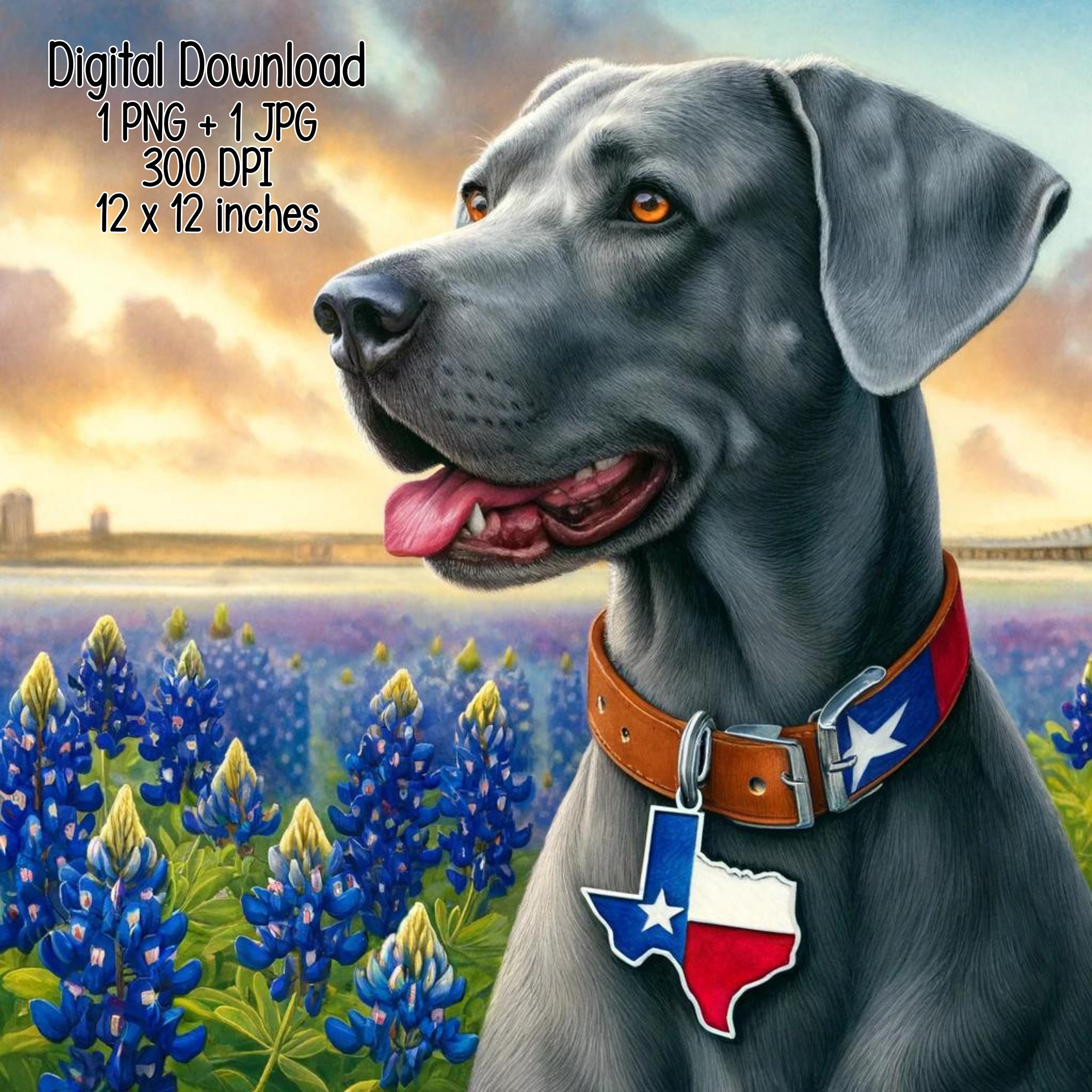 Texas Blue Lacy Dog in Bluebonnet Field Watercolor Illustration Clipart ...