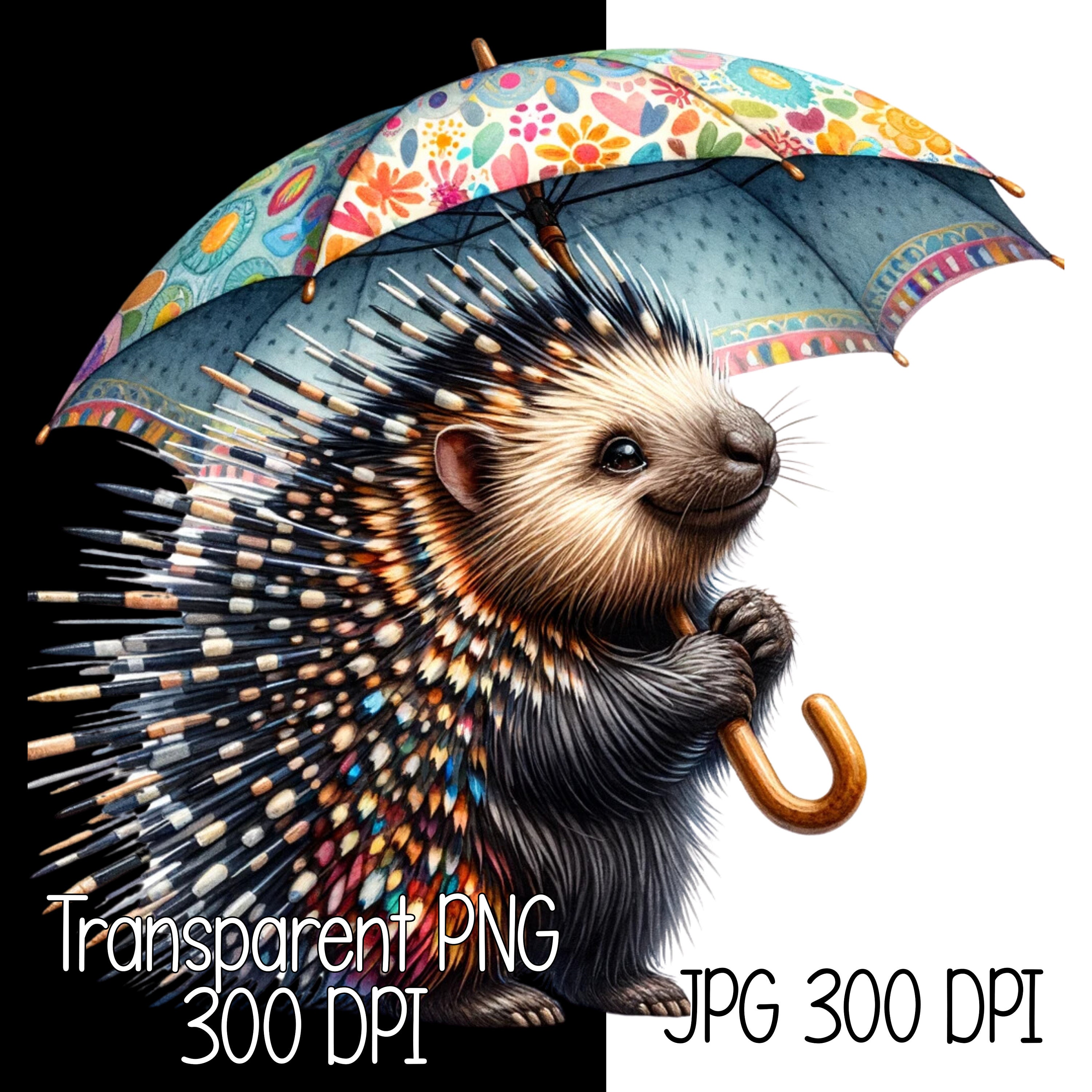 Porcupine With Umbrella, Cute Animal Watercolor Clipart Commercial Use ...