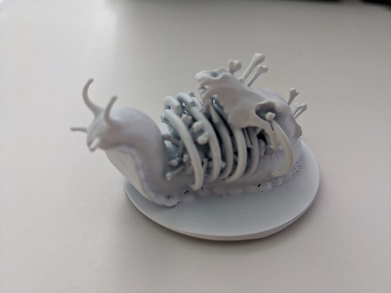 Bone Whelk Miniature - Etsy