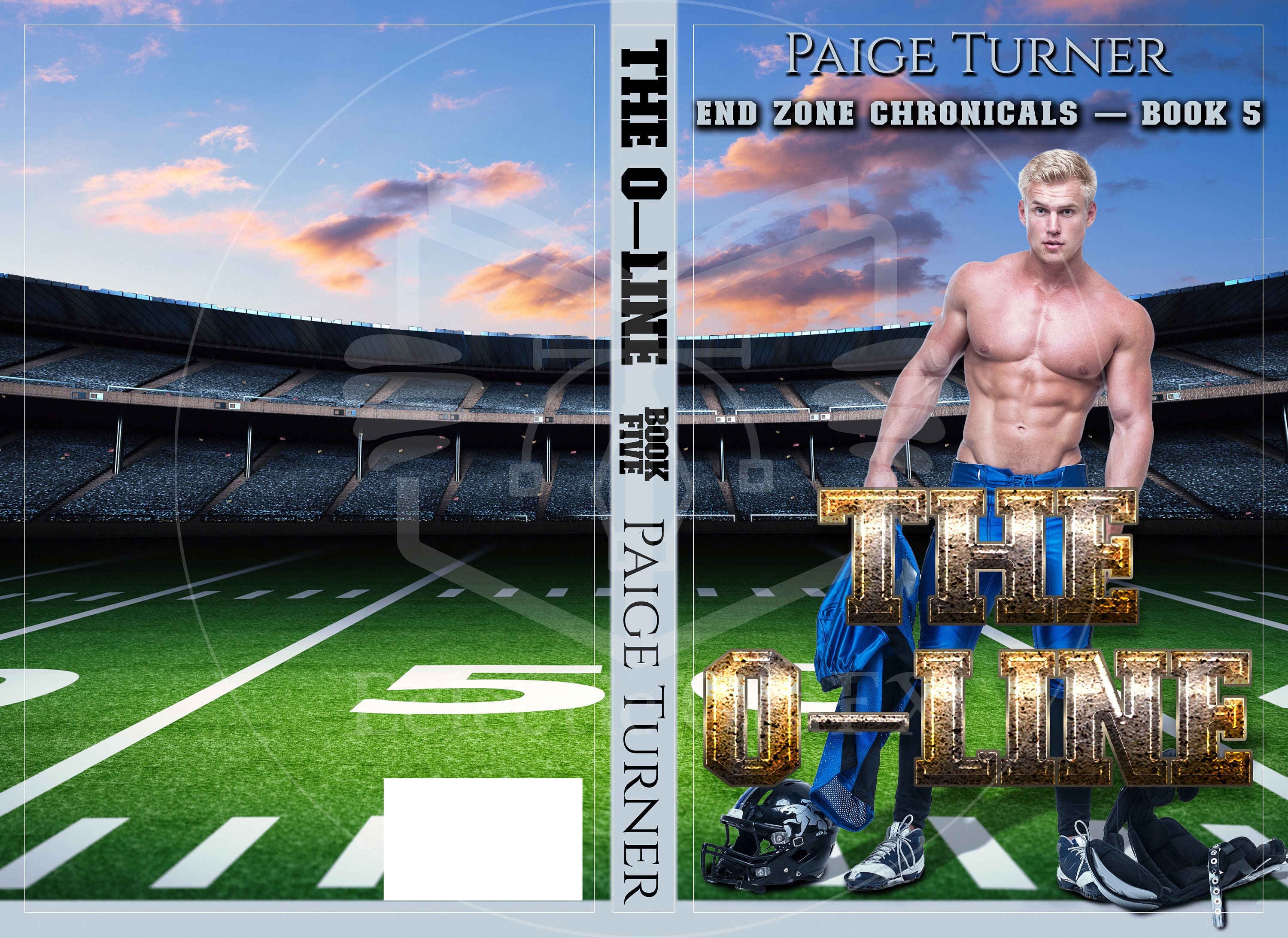 Football Romance Series Book Covers - Etsy