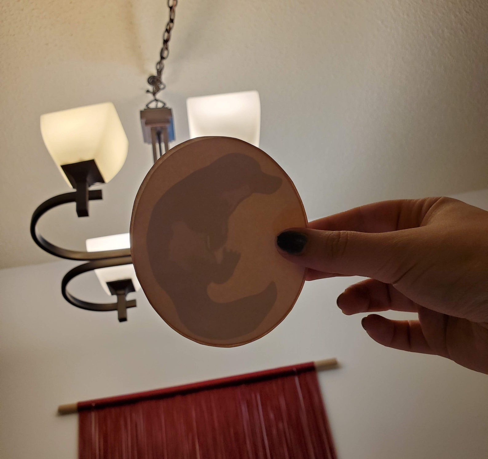 Printable Egg Flashlight Reveal Guessing Card Game - Etsy