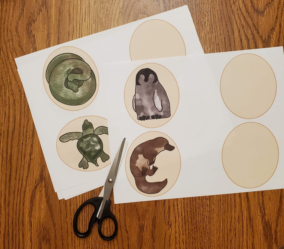 Printable Egg Flashlight Reveal Guessing Card Game - Etsy