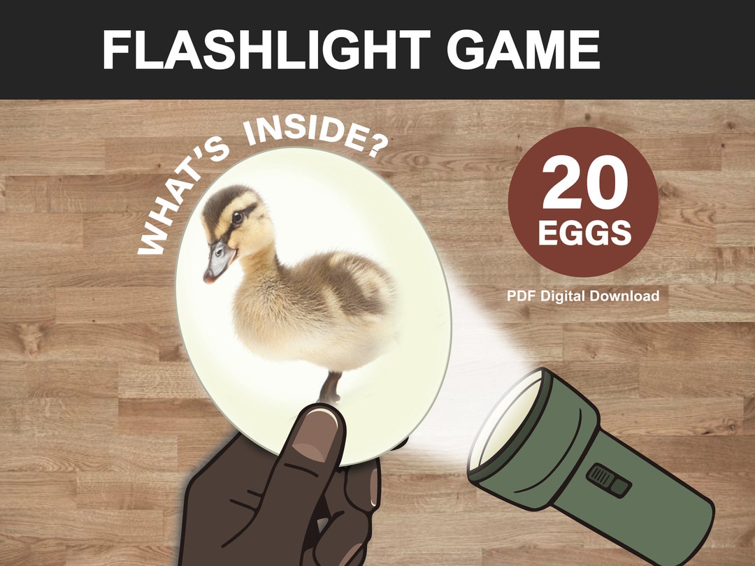 Easter Egg Printable Flashlight Reveal Guessing Matching Card Game for ...