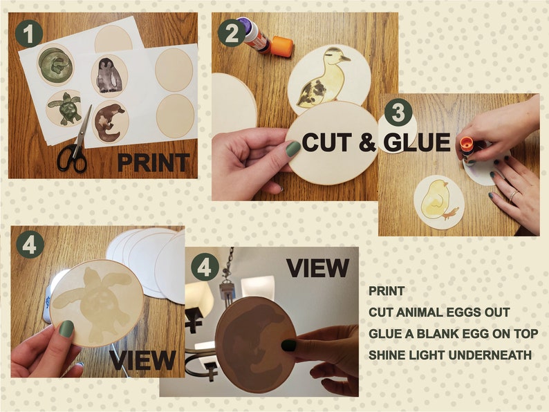 Printable Egg Flashlight Reveal Guessing Card Game - Etsy