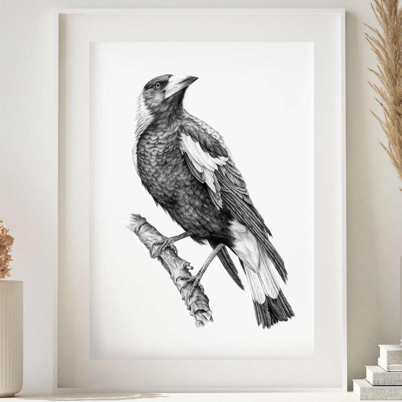 Australian Magpie Print Bird Illustration Art Print | Etsy