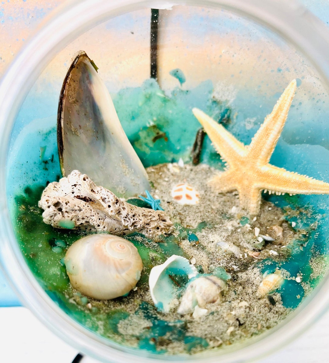 Hilton Head Beach Art, Beach House, Ocean Themed Gift, Terrarium ...