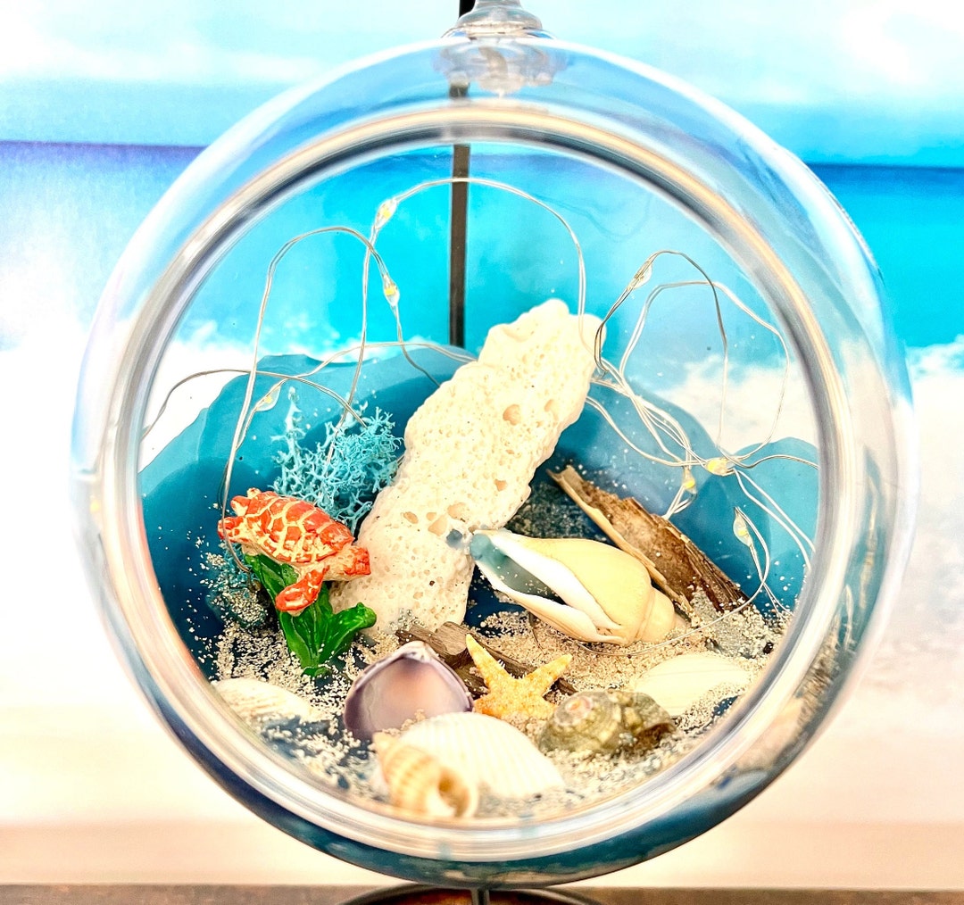 Coastal Beach Light, Grand Cayman, Terrarium Night Light, Relaxing ...