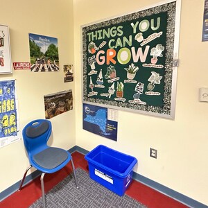Growth Mindset Bulletin Board, Plants, Boho, Succulents, Affirmations ...