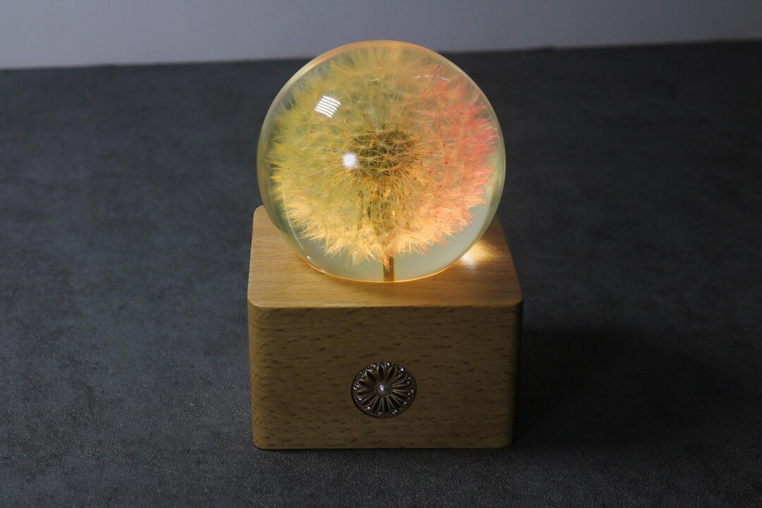 Dandelion Night Light, Real Dandelion Personalized Night Light, Dry ...