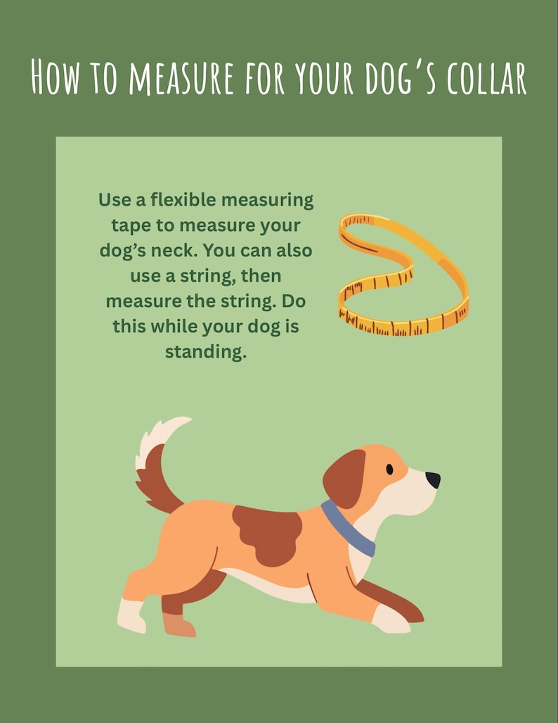 2” Layered Biothane Dog Collar, Waterproof, Cleanable, Durable ...
