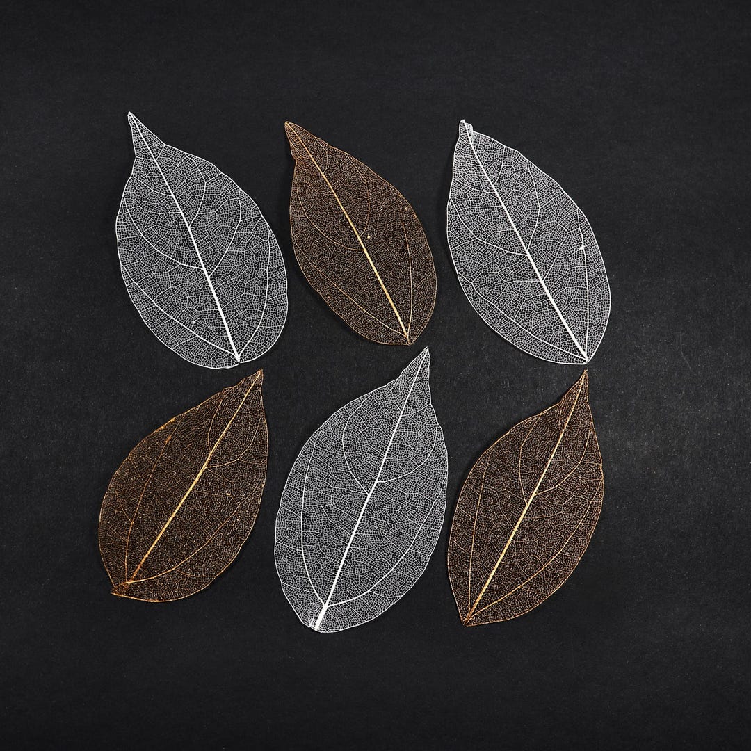 Lacy See-through Skeleton White Beige Bronze Pressed Leaves for Crafts ...