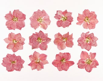 Tiny Blue Pressed Forget-me-not Flowers for Crafts, Resin, Journal ...