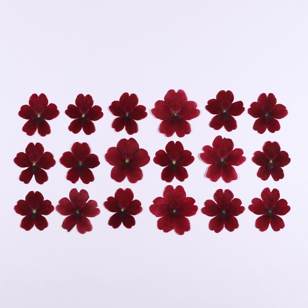 Pressed Red Flowers for Crafts, Resin, Journal, Scrapbooking ...