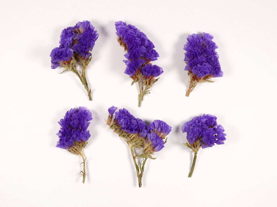 Purple Dried Flowers for Crafts, Resin Jewelry, Resin Casting in the ...