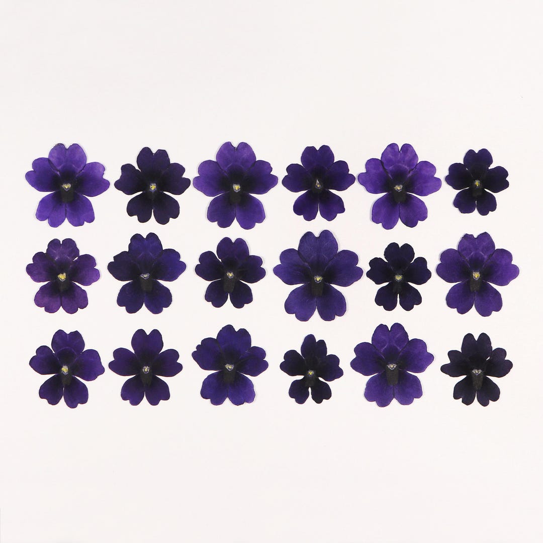 Pressed Ink Blue Flowers for Crafts, Resin, Journal, Scrapbooking ...