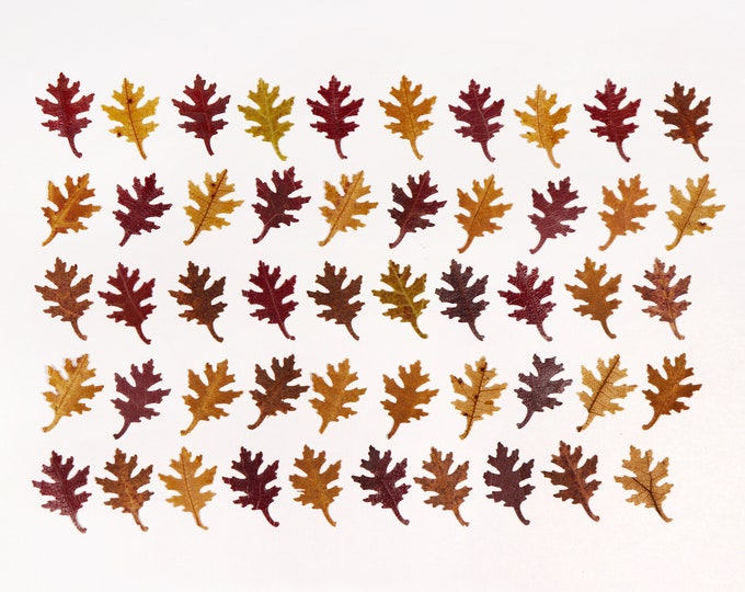 Tiny Autumn Oak Leaves for Crafts, Resin, Journal, Miniature ...