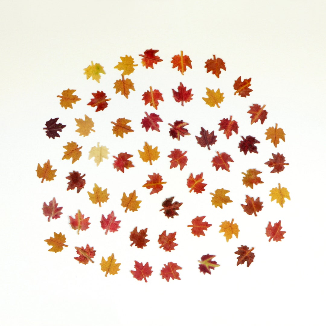 Tiny Autumn Maple Leaves for Crafts, Resin, Journal, Miniature ...