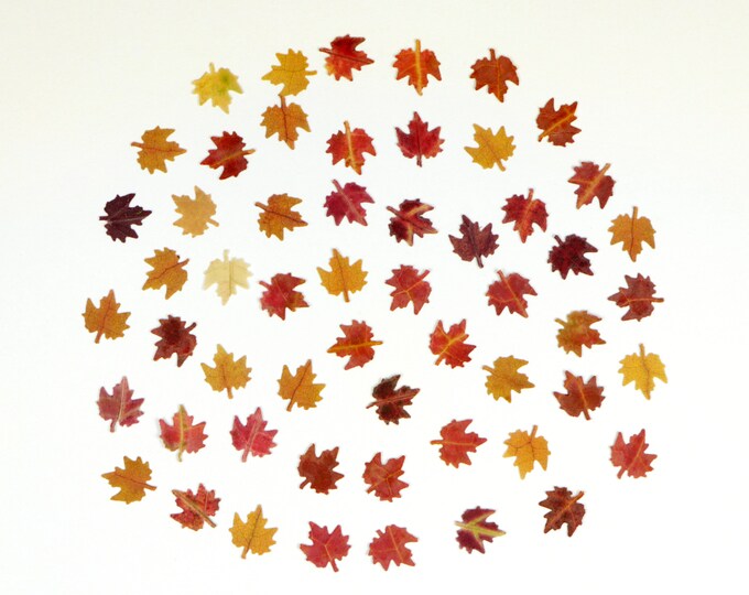 Tiny Autumn Maple Leaves for Crafts, Resin, Journal, Miniature ...