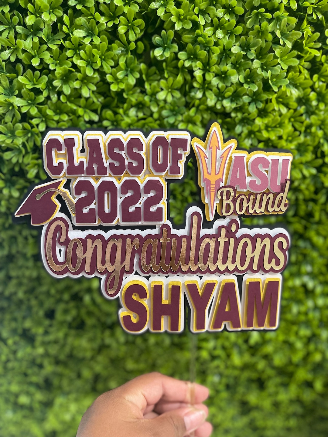 Grad Cake Topper | Graduation Cake Topper | College Decor Cake Topper ...