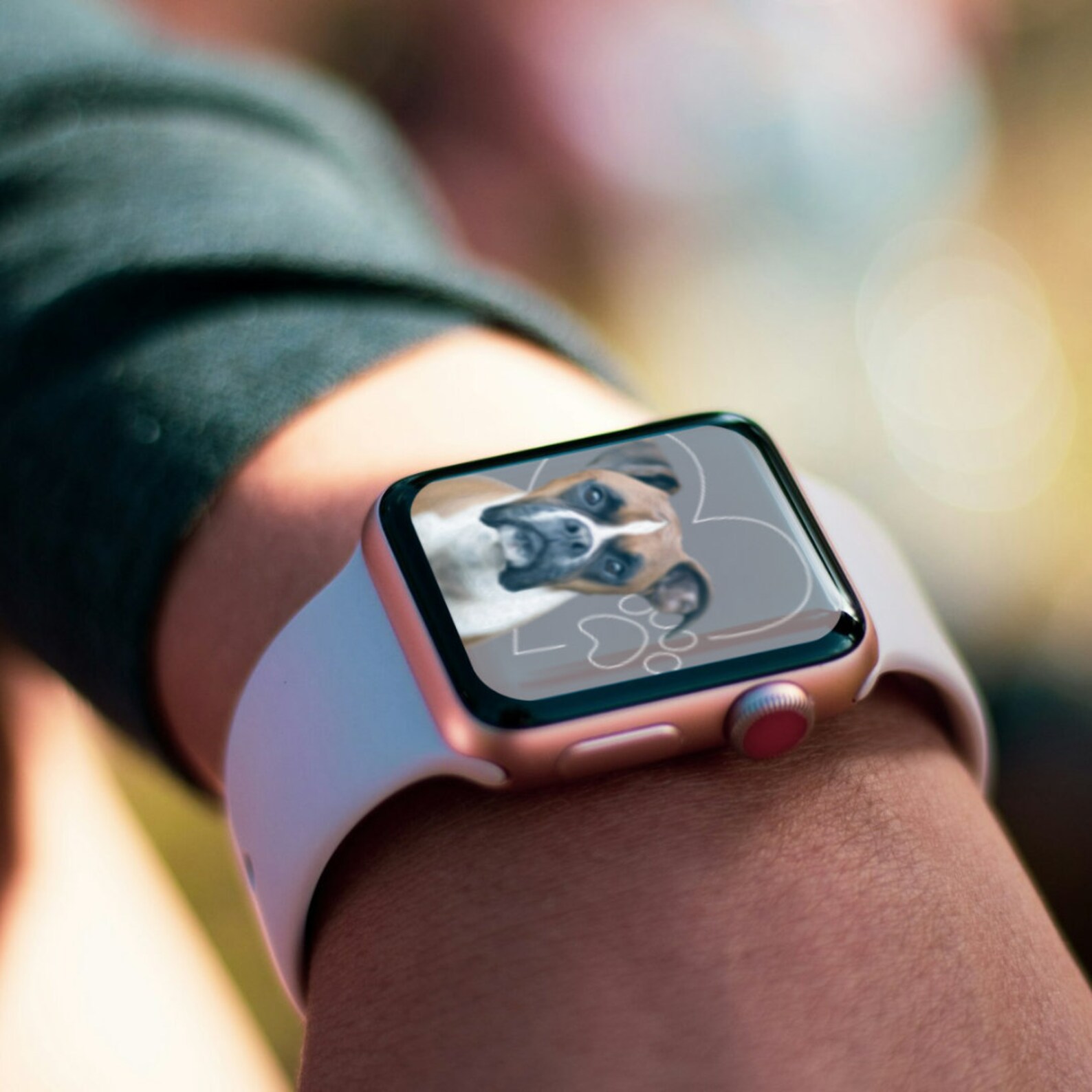 Boxer Apple Watch Background Dog Apple Watch Wallpaper Boxer Paw Print ...